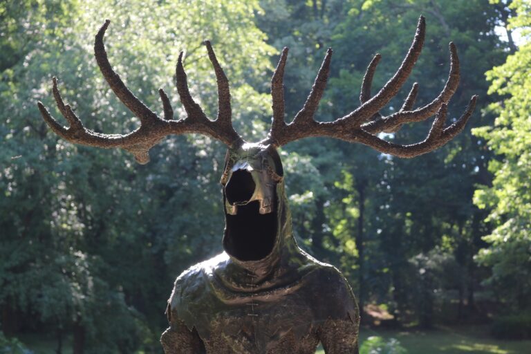 Leszy - Dariusz Fluder